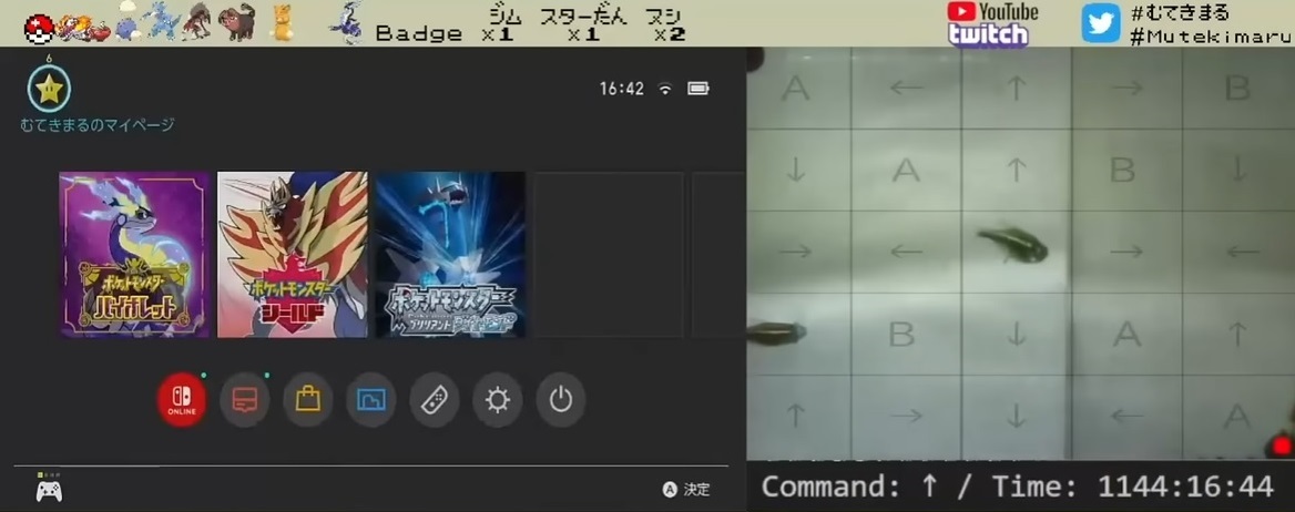 Pokémon-playing fish commit credit card fraud against owner in Japan ...
