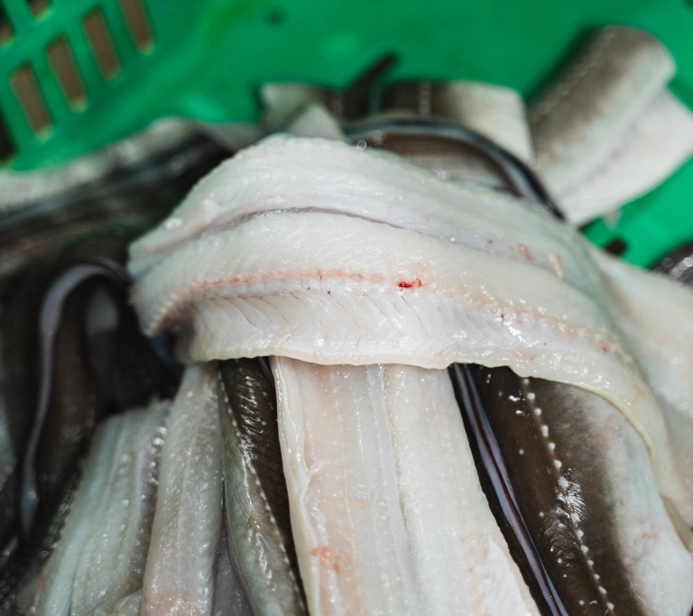 How to pick out the best anago eel and other things we learned at the ...
