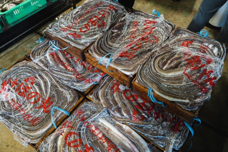 How to pick out the best anago eel and other things we learned at the ...