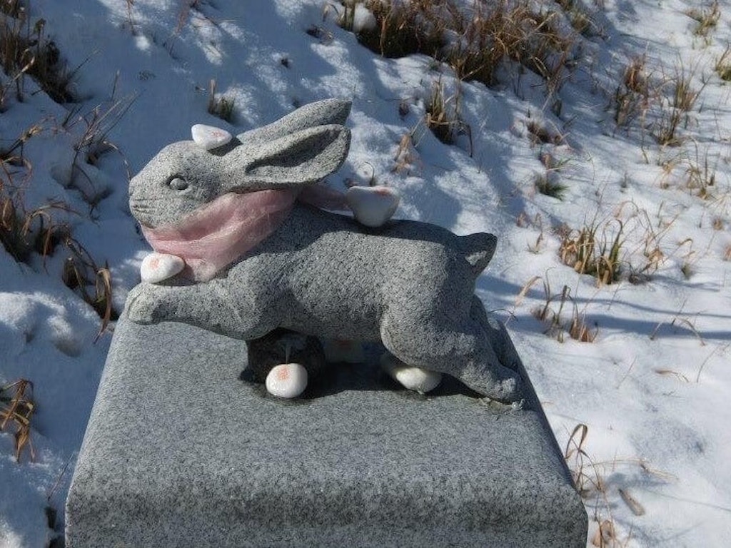 This Year of the Rabbit, visit some of the best Japanese sightseeing ...