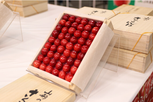 Yamagata cherries fetch record-breaking price at wholesale market’s ...