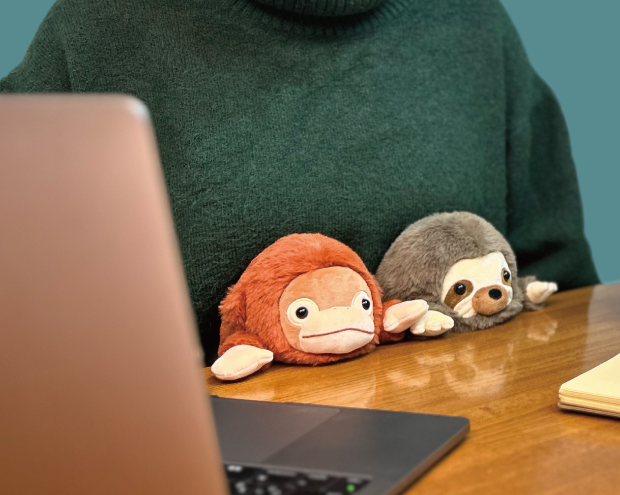 Are you a sloucher? Get a cute, furry little friend to help correct ...