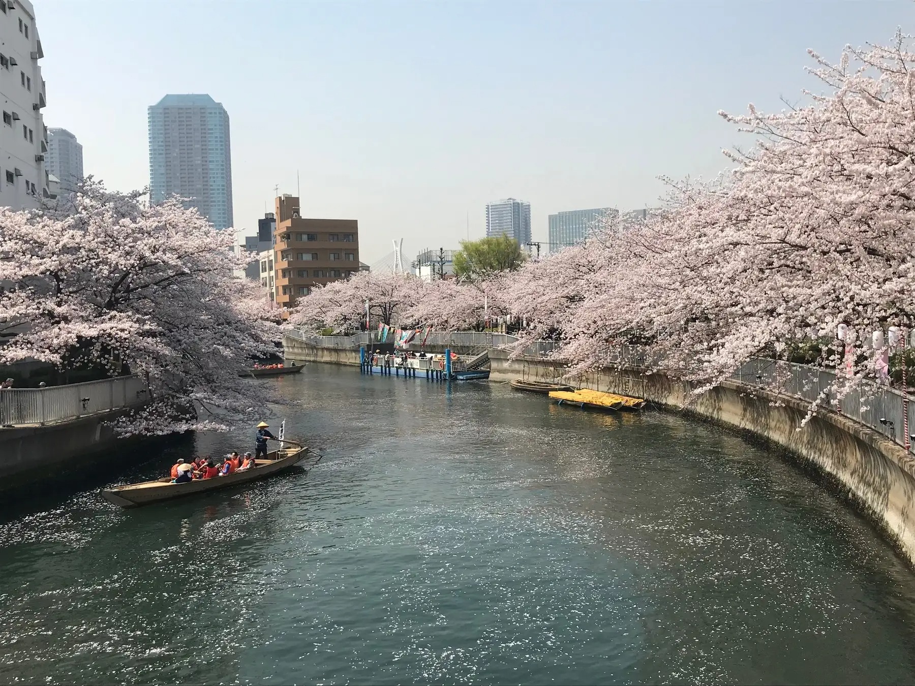 Tag: Oedo Fukagawa Sakura Festival | SoraNews24 —Japan News—
