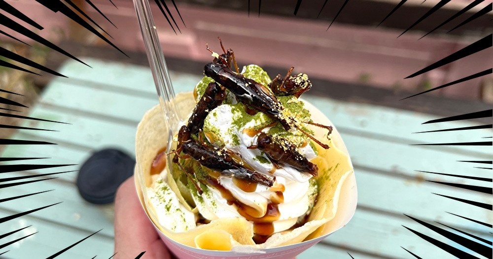 Locust crepes crunch on your teeth, melt in your mouth in east Japan ...