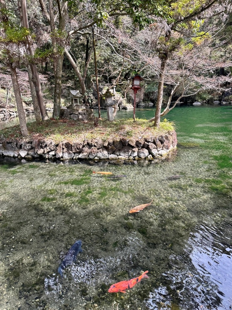 Travel secrets: East Japan’s own Monet Pond and Kiyomizu in Tochigi ...