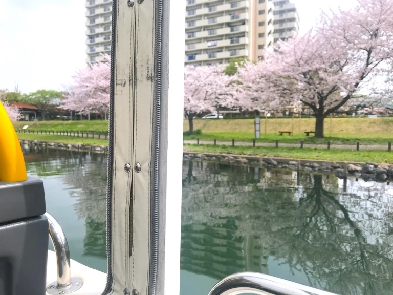 Beautiful Tokyo water bus tour shows you off-the-beaten-path sakura ...