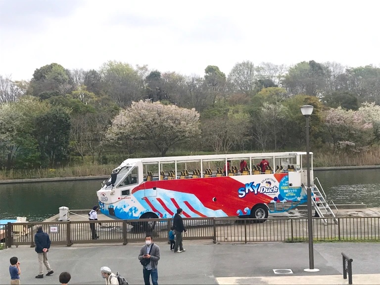 Beautiful Tokyo water bus tour shows you off-the-beaten-path sakura ...