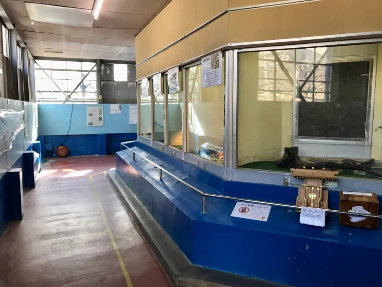 Visiting the Japan Snake Center, the Gunma zoo dedicated entirely to ...