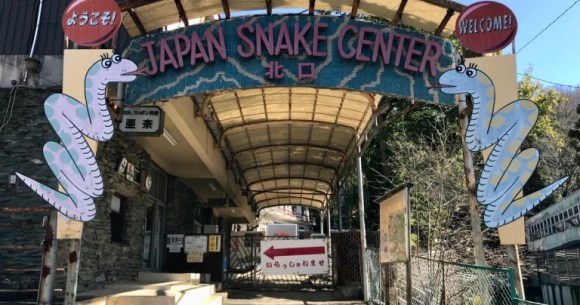 Visiting the Japan Snake Center, the Gunma zoo dedicated entirely to ...