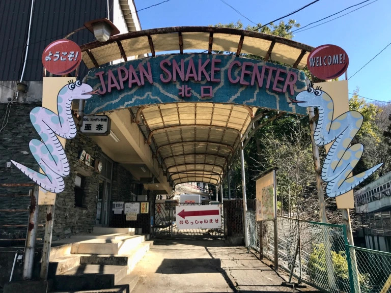 Visiting the Japan Snake Center, the Gunma zoo dedicated entirely to ...