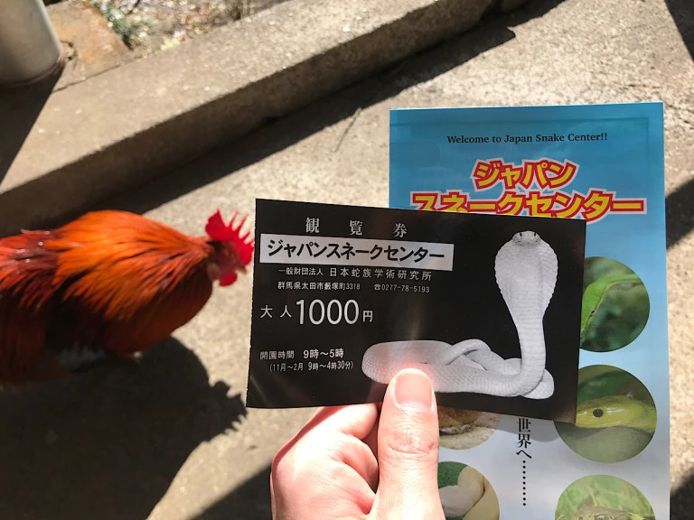Visiting the Japan Snake Center, the Gunma zoo dedicated entirely to ...