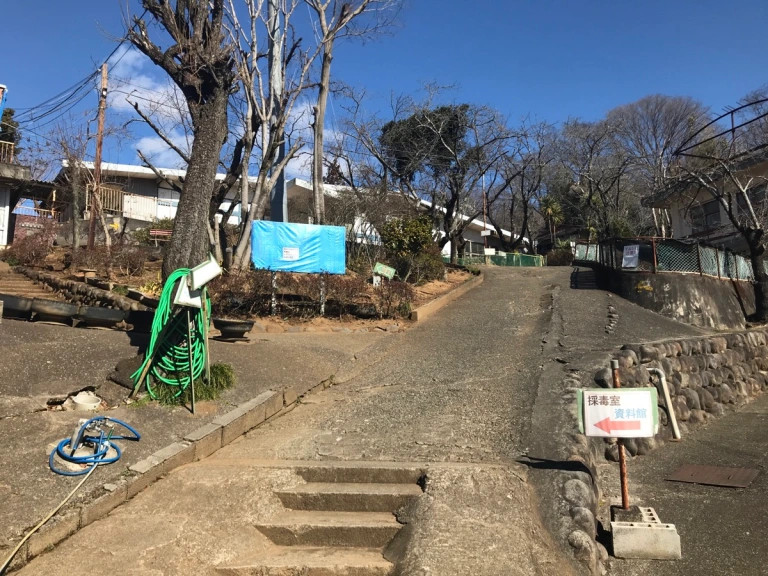 Visiting the Japan Snake Center, the Gunma zoo dedicated entirely to ...