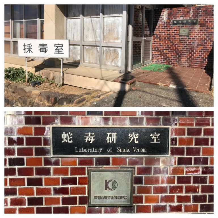 Visiting the Japan Snake Center, the Gunma zoo dedicated entirely to ...