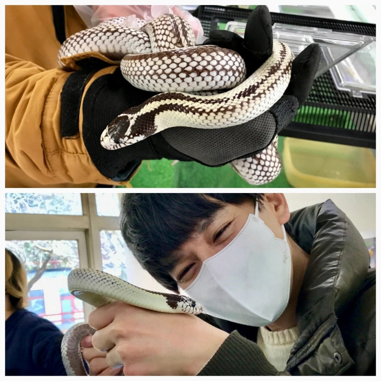 Visiting the Japan Snake Center, the Gunma zoo dedicated entirely to ...
