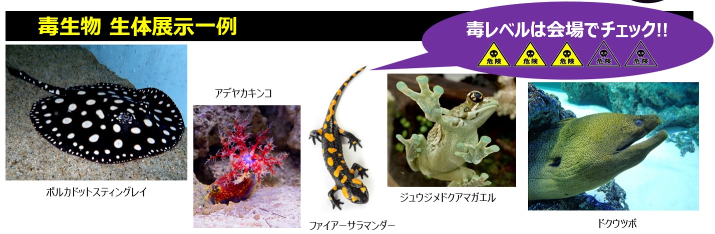 Poison Poison Poison Poison Poison Poison Poison Poison Poison Exhibit ...