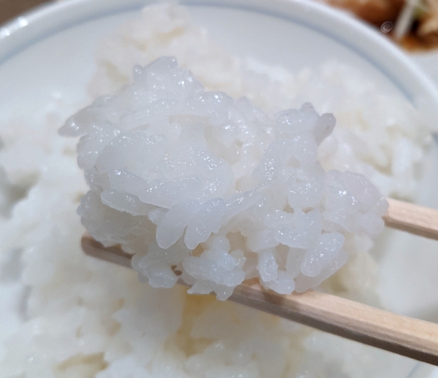Got rice? The tastiest rice ever compels bread-fan Mr. Sato to eat more ...