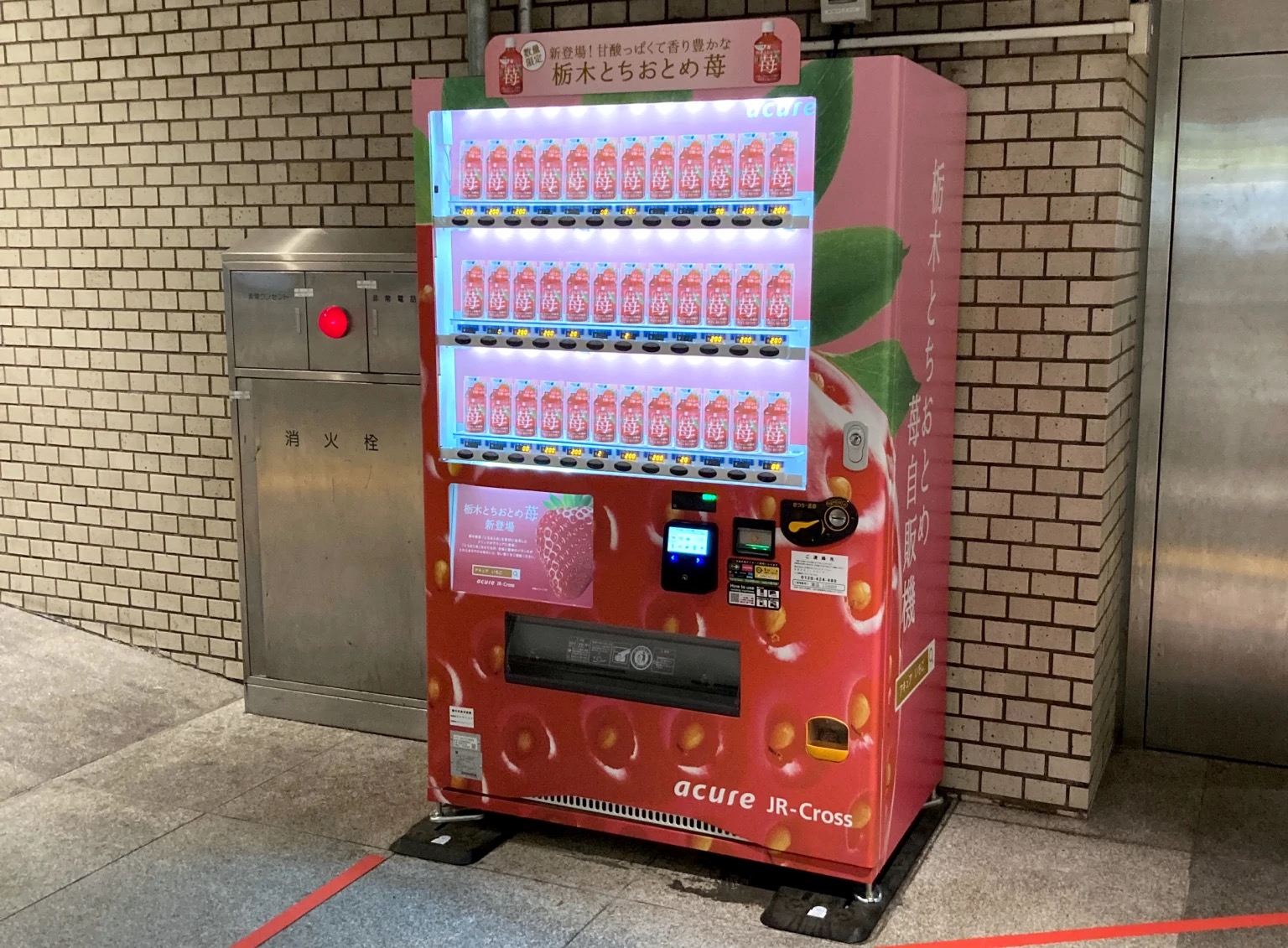 Japanese vending machine sells just one thing at this station ...