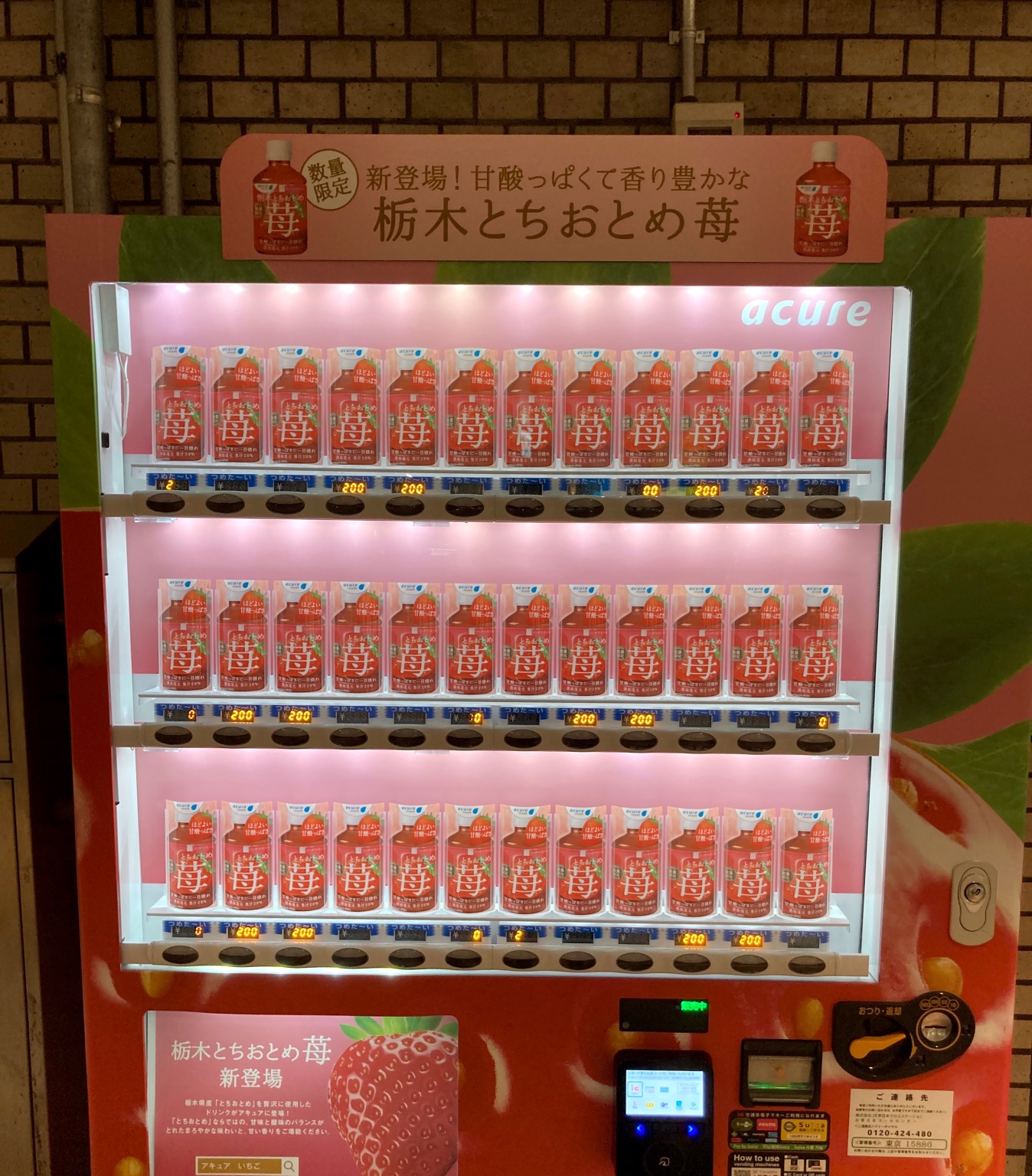 Japanese vending machine sells just one thing at this station ...