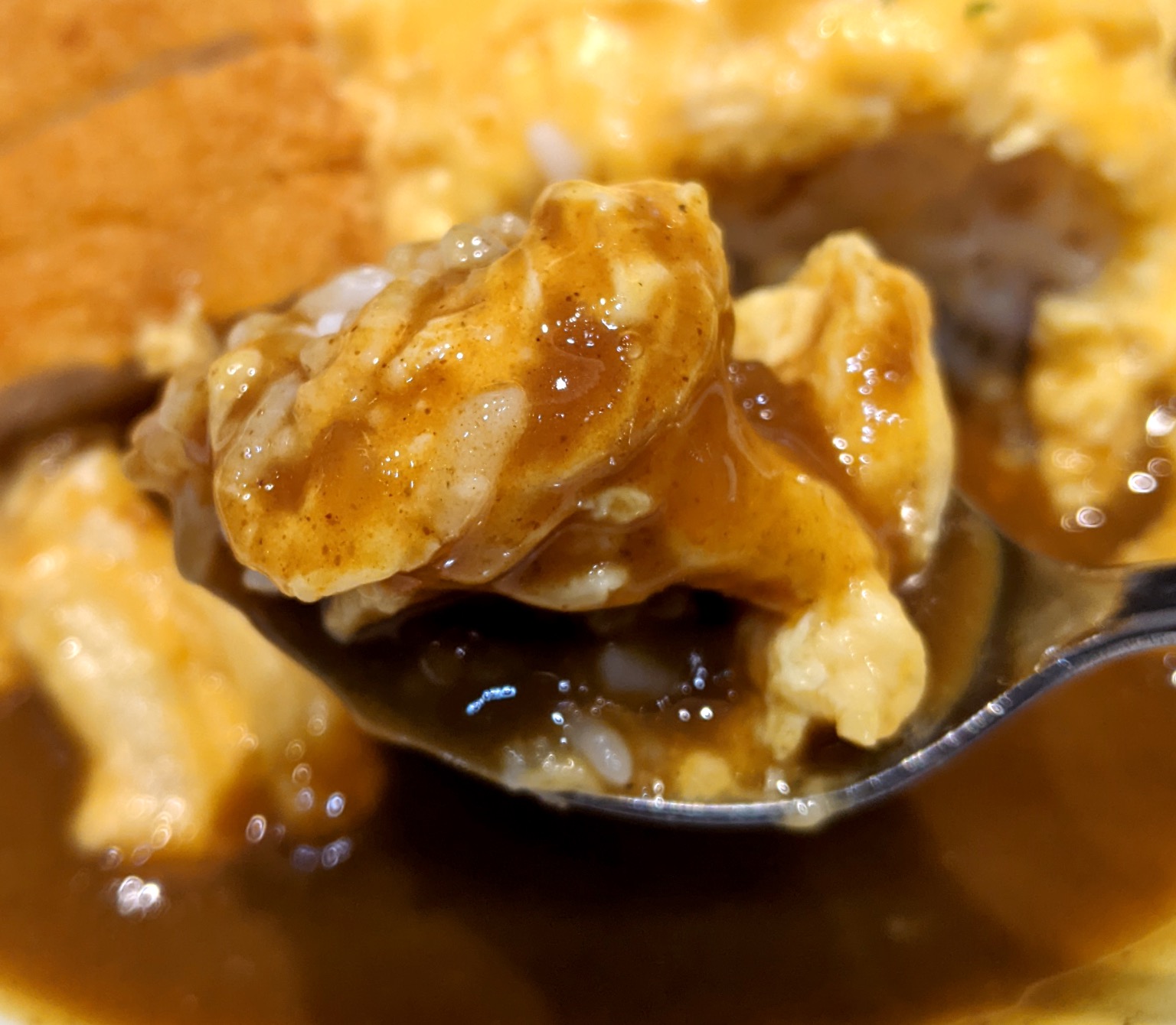 A taste of Japanese curry usually only sold overseas, at Tokyo’s Curry ...