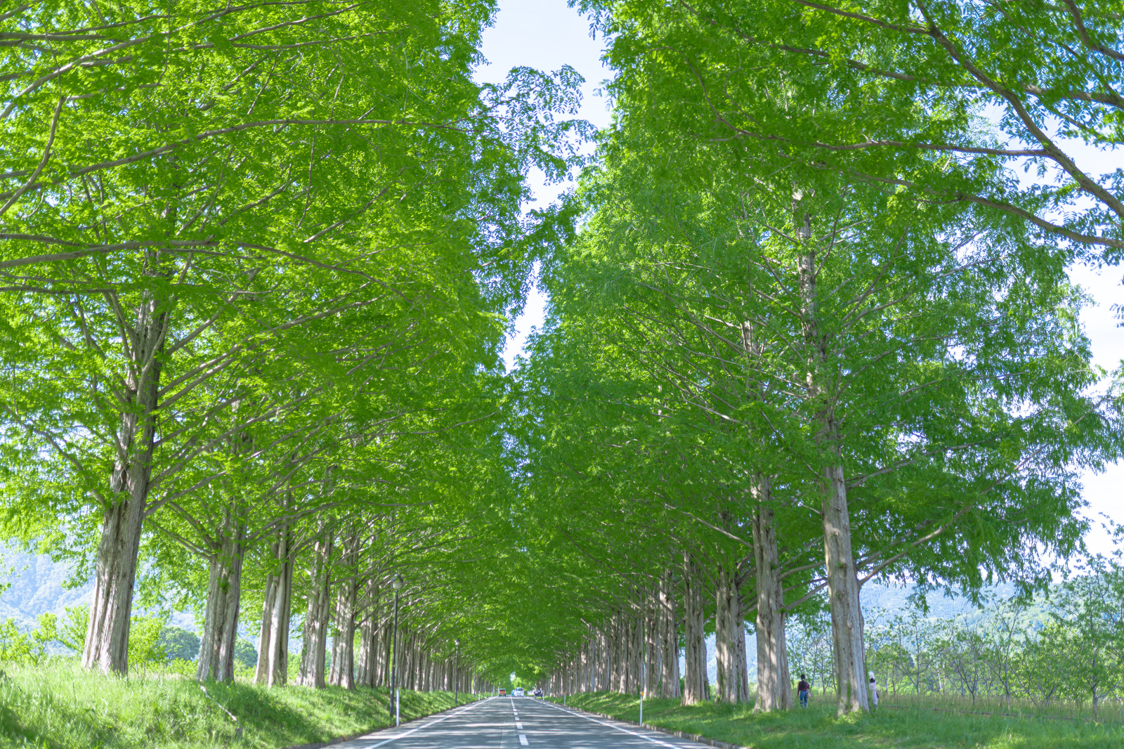 Japan’s newest vending machine absorbs CO2 from the environment ...