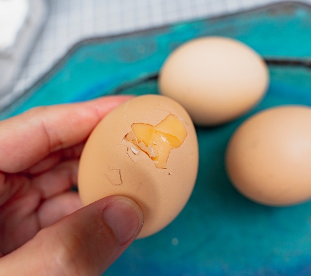 Izumofarm’s Pure Pudding has a clever way of ensuring purity ...