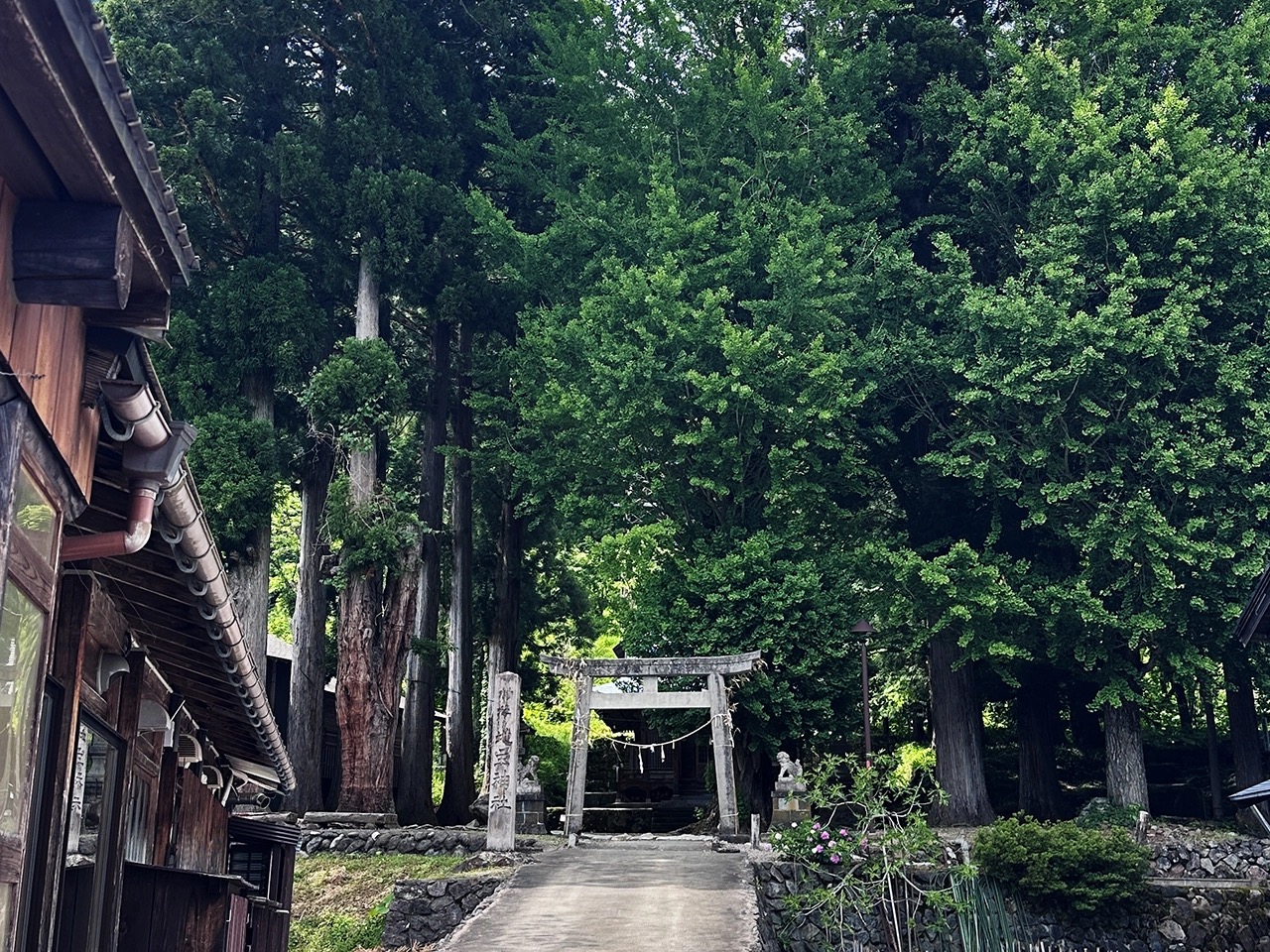 Airbnb offers special free stay at a traditional Japanese gassho house ...