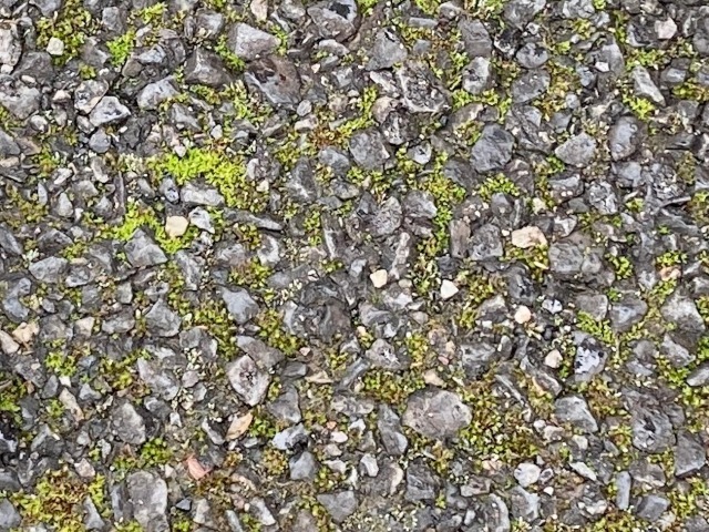 We accidentally dropped our newly hardened smartphone on the ground ...