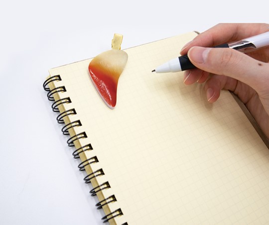 New sashimi clips from Japan let you wear your love for sushi in your ...