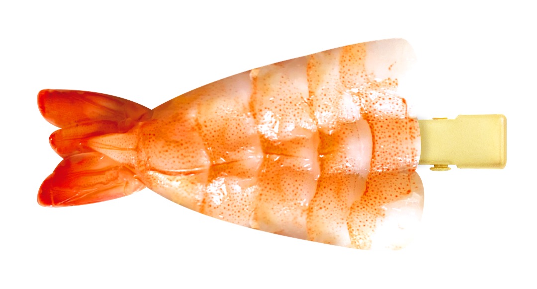 New sashimi clips from Japan let you wear your love for sushi in your ...