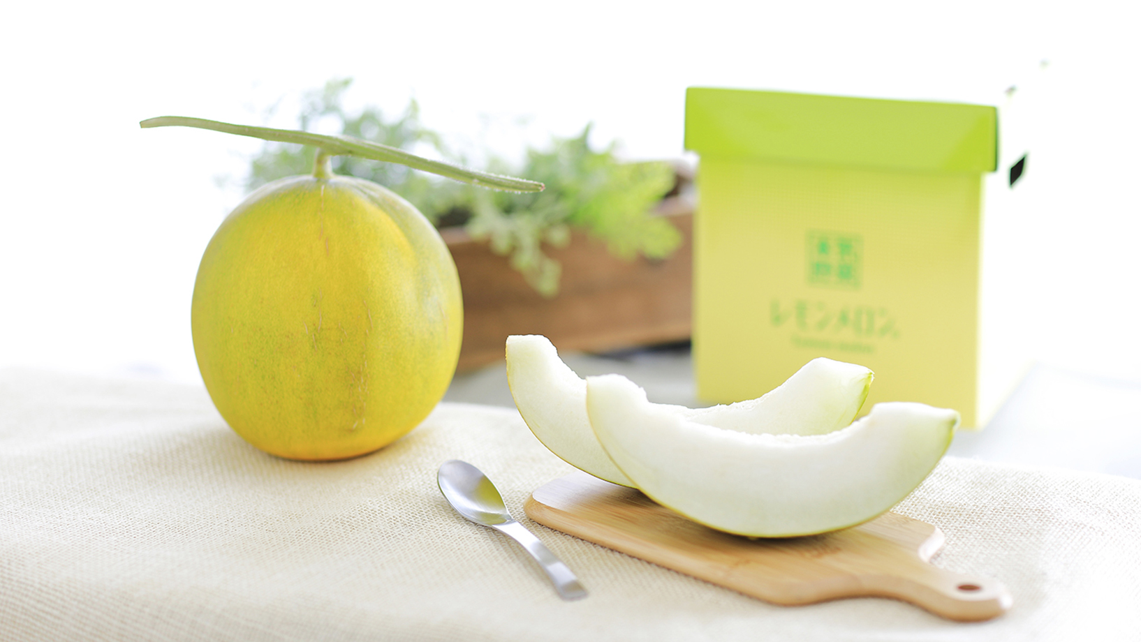 Hokkaido farmers have developed a new fruit, the Lemon Melon, combining ...