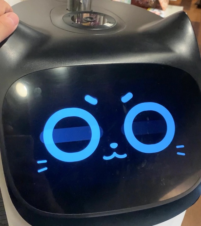 Japan’s cat robot waiters meow when you pat them, and we find out why ...