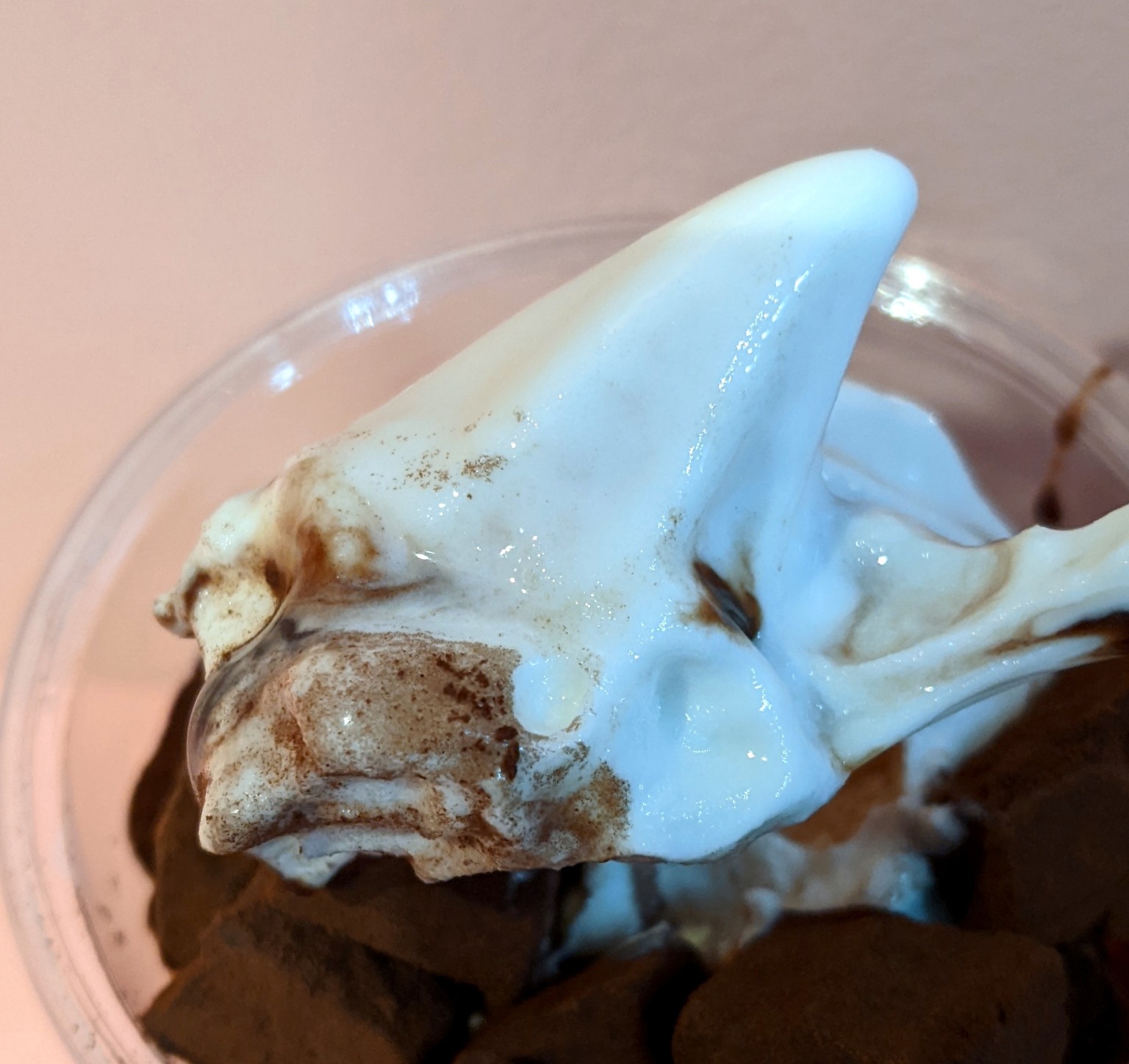 Mr. Sato indulges in some trendy late-night ice cream at this specialty store | SoraNews24 ...