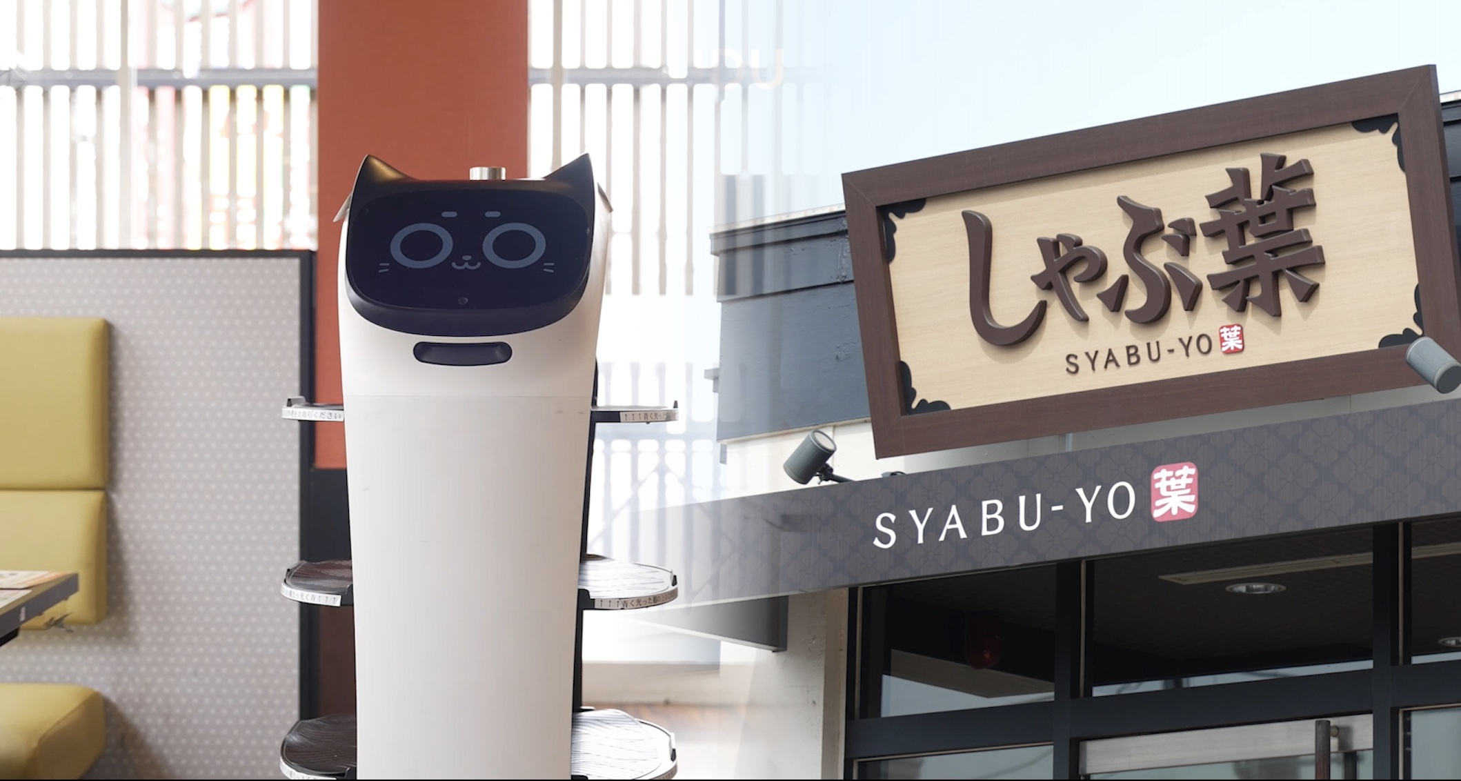 Japan’s cat robot waiter now available to build at home with blocks ...