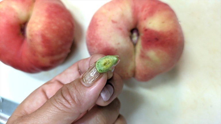 Banto, the fruit eaten by Son Goku in Journey to the West, is real, and ...