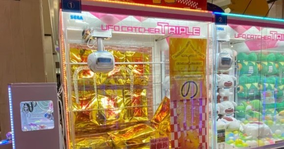 We beat two crane games at a Japanese arcade and take home two lucky ...