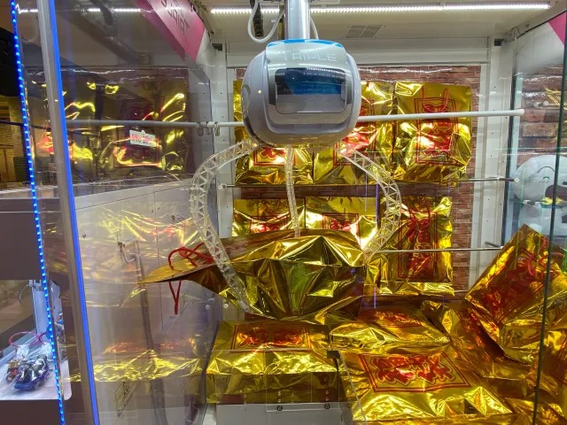 We beat two crane games at a Japanese arcade and take home two lucky ...