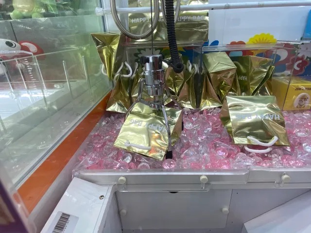 We beat two crane games at a Japanese arcade and take home two lucky ...
