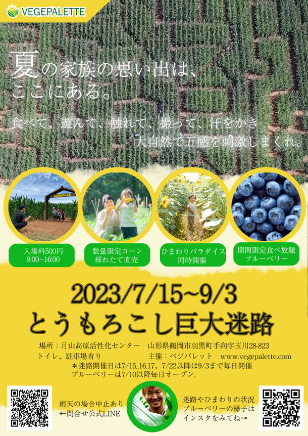Japanese countryside town makes giant corn maze full of oni for summer ...