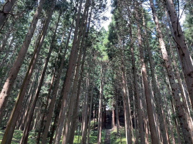 An anime pilgrimage even non-anime fans will love: Visiting the Slam ...
