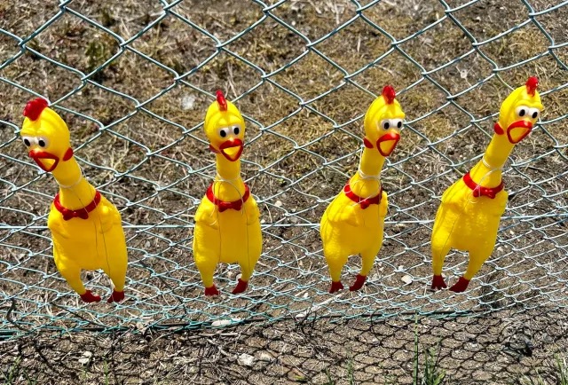 We try the viral screaming rubber chicken car park hack in Japan ...