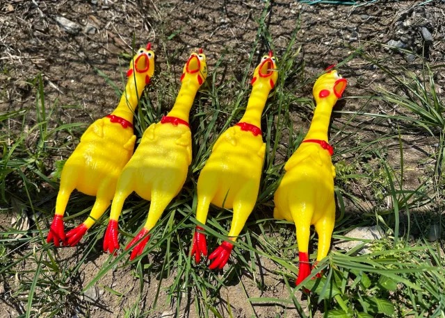 We try the viral screaming rubber chicken car park hack in Japan ...
