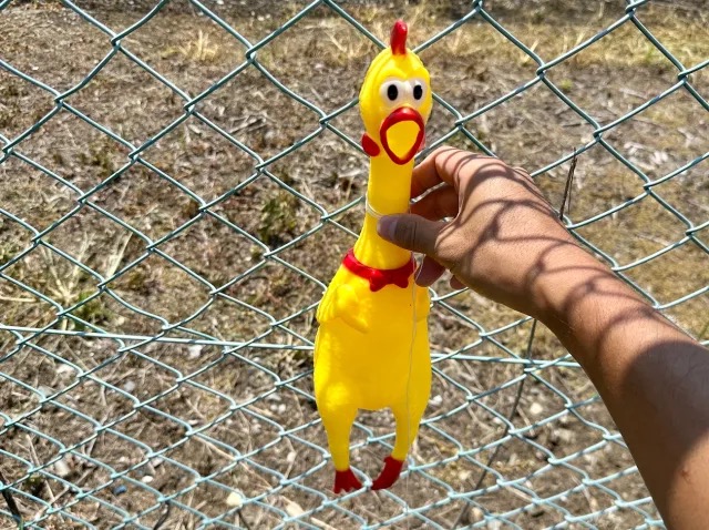 We try the viral screaming rubber chicken car park hack in Japan ...