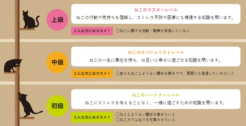 Japan has a cat aptitude test to show off how much you know about our ...