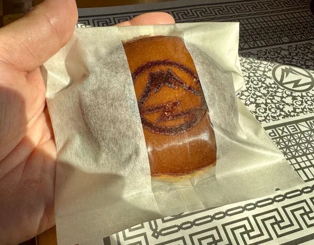 Fujisan View Express: A train journey to Mt Fuji so stylish you’ll ...