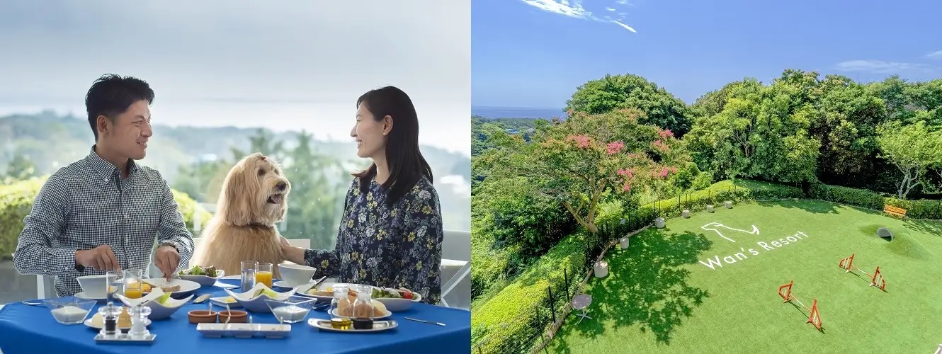 Japan Railway to allow dogs to ride without cages on special Tokyo-Izu ...