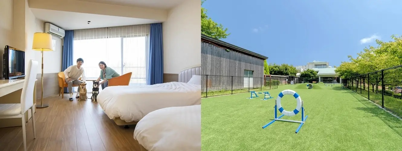 Japan Railway to allow dogs to ride without cages on special Tokyo-Izu ...