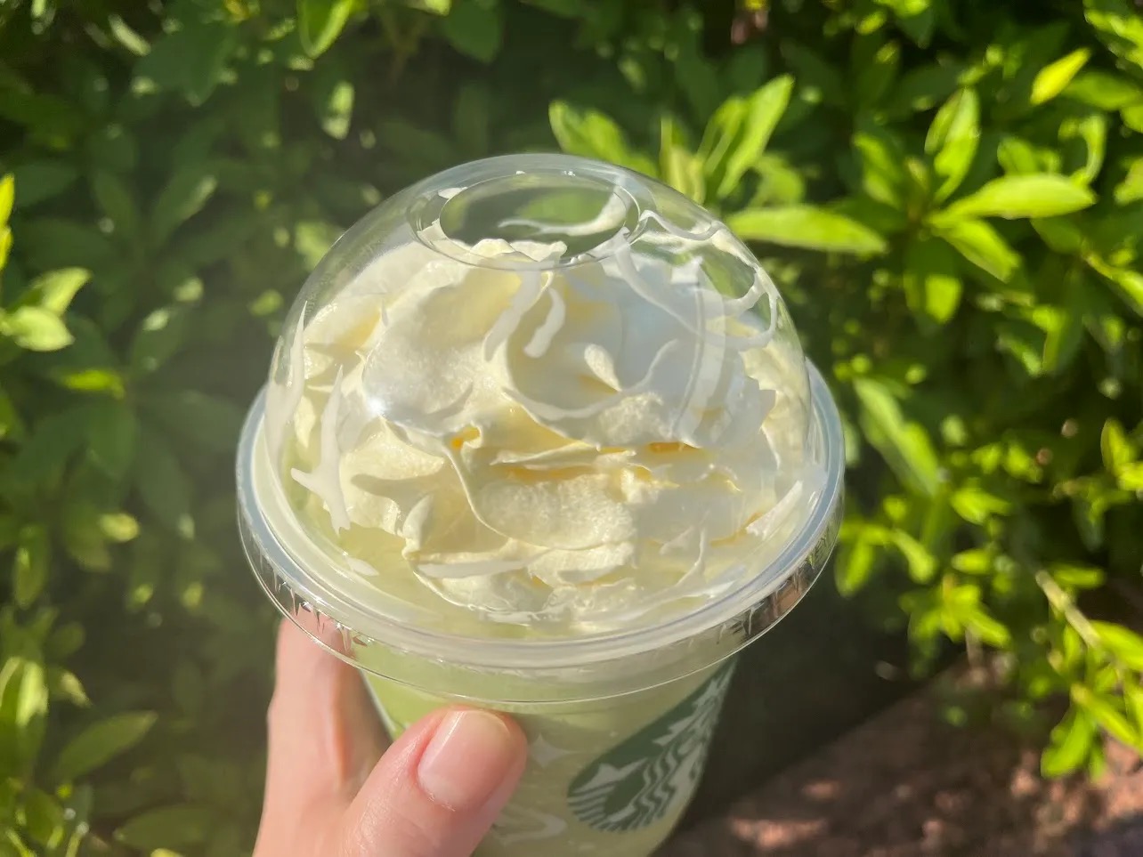 Do cheese and matcha go together? We find out with Starbucks Japan’s ...