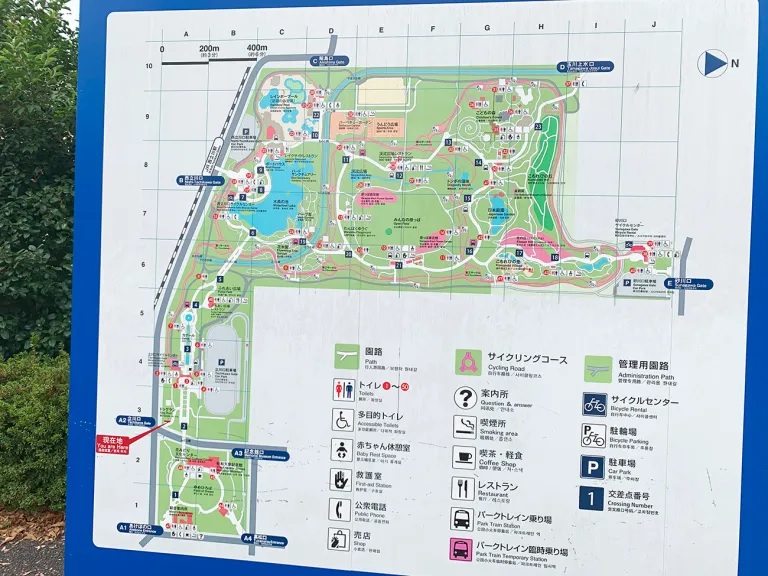 Half an hour outside downtown Tokyo, this park is an underrated gem for ...
