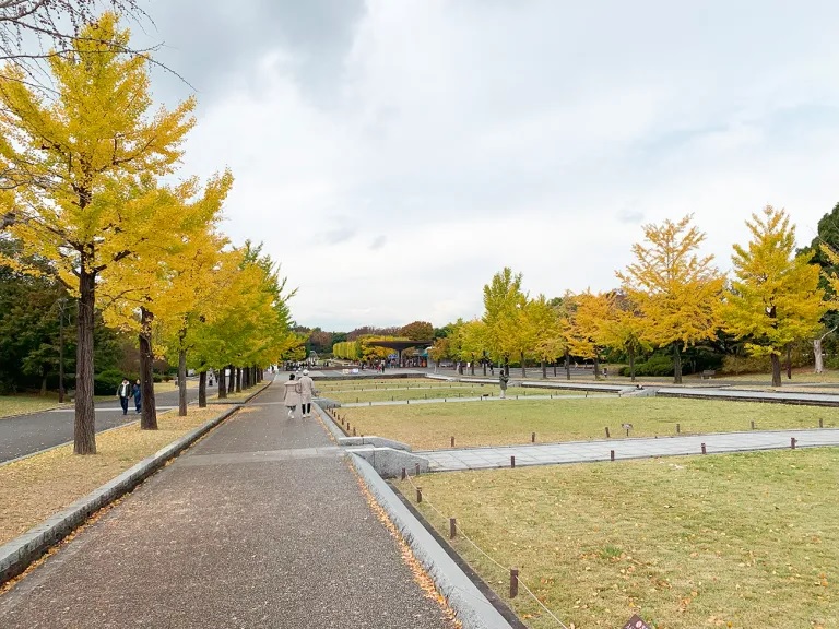 Half an hour outside downtown Tokyo, this park is an underrated gem for ...