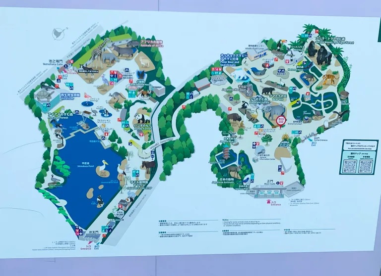 Visiting Ueno Zoo for the first time as an adult shows our reporter the ...